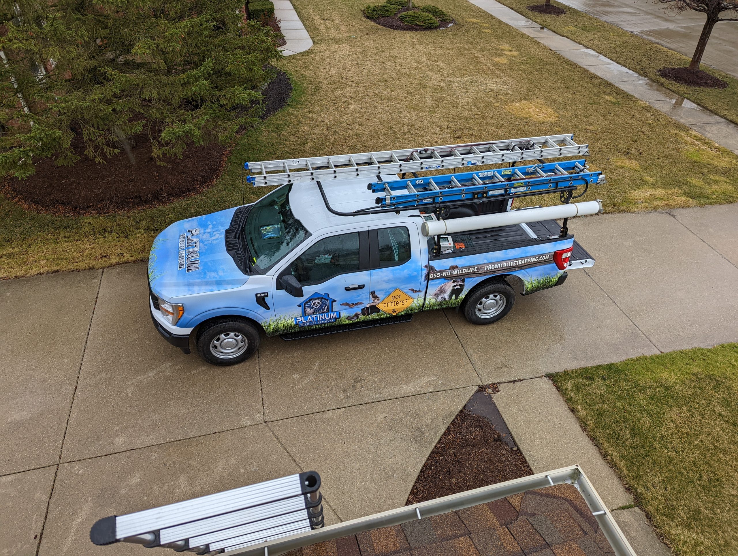 Indiana Bat Removal & Control Professionals - Get Rid Of Bats